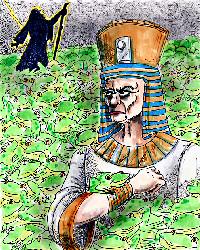 Moses Plague Of Frogs