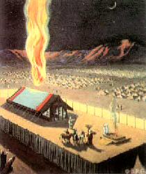 Offering In Tabernacle